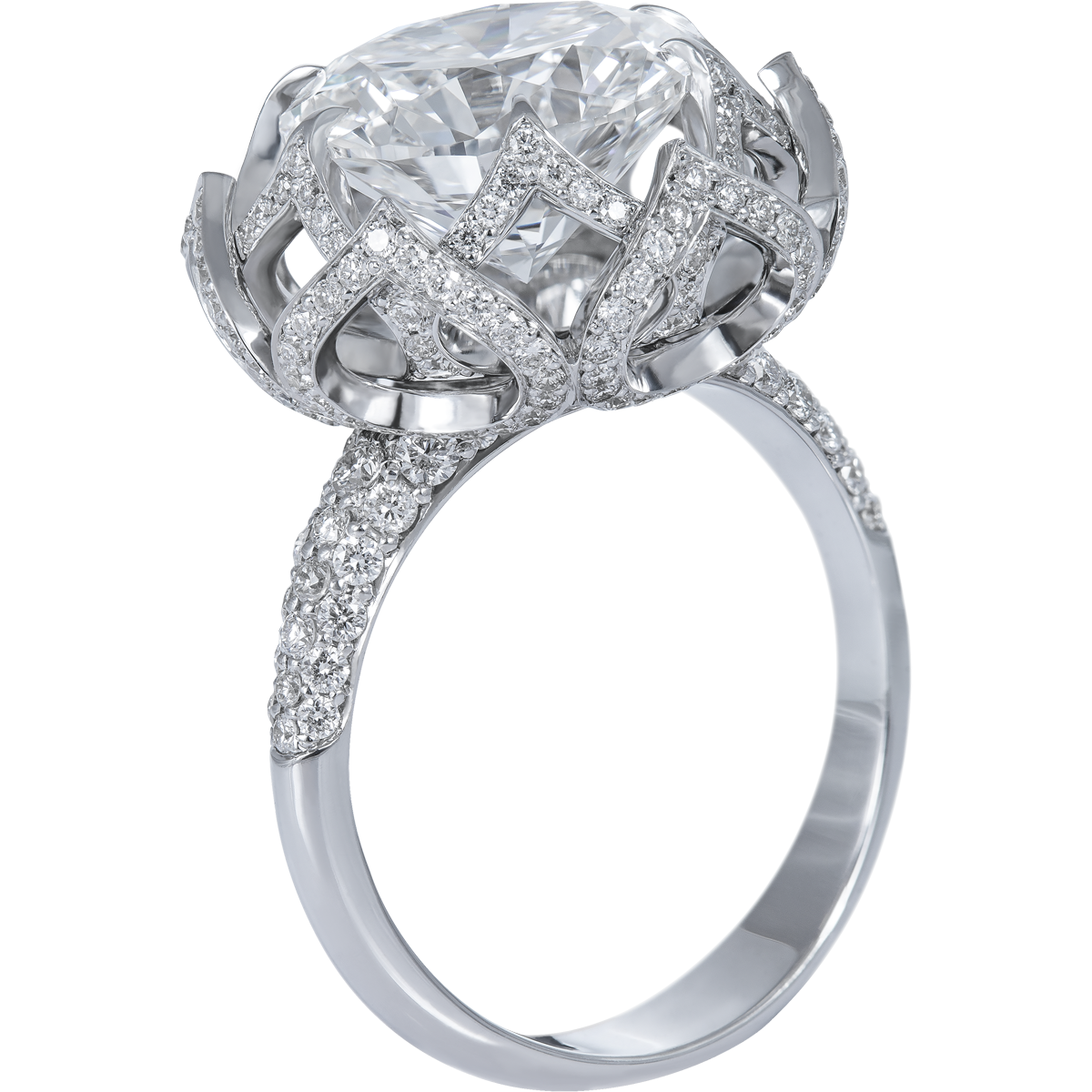 Lotus — Ilgiz Fazulzyanov — 灵感来源于自然